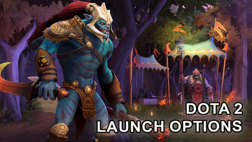 Dota 2 Launch Options: Detailed Guide | Hawk Live