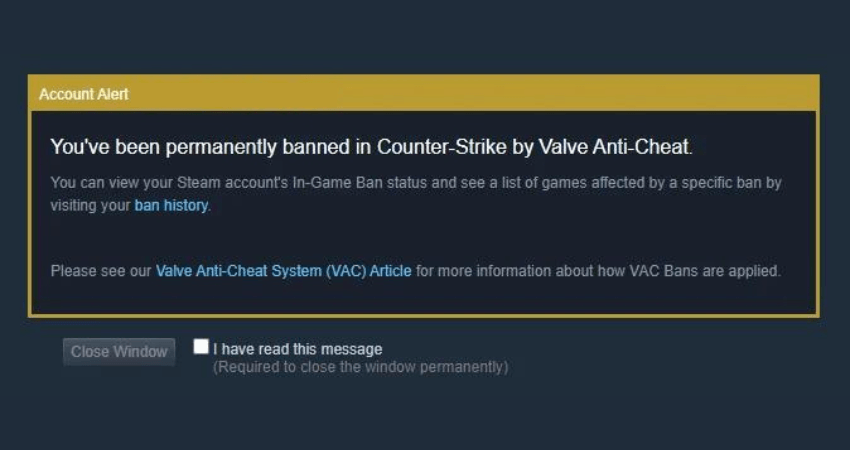 CS2 bans: types, terms and consequences of blocking | Hawk Live