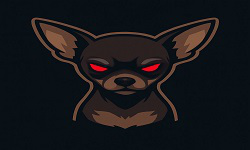 How to play CS:GO in 2025 | Hawk Live